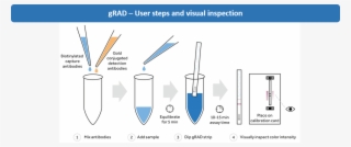 Grad Onedetection Kit - Diagram - 1011x425 PNG Download - PNGkit