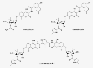 Structures Of Novobiocin, Chlorobiocin And Coumermycin - Tyrosine ...