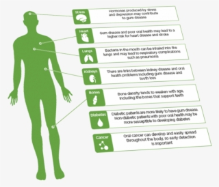 Overall-768x660 - Standing - 768x660 PNG Download - PNGkit