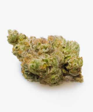 Logo Smarties Transparent - 400x400 PNG Download - PNGkit