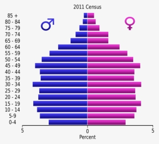 Population By Age And Sex - Hungary Population Pyramid 2010 - 1604x1286 ...