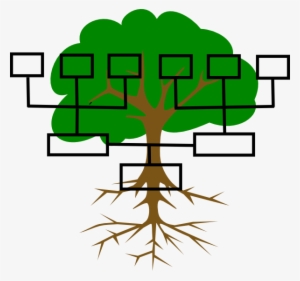 Download Transparent Family Tree Genealogy Illustration - Sample Family ...