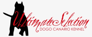 Do You Have Any Questions About This Dog - Illustration - 1024x724 PNG ...