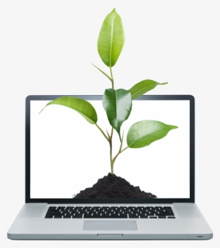 Computer Plant Outline - Twig - 1781x2048 PNG Download - PNGkit