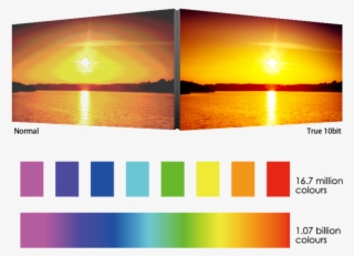 10 Bit Color - Colour Depth - 740x531 PNG Download - PNGkit