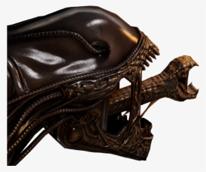 Free Png Alien Png Images Transparent - Aliens Vs Predator Png ...