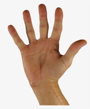 Hello Greeting Hand Finger Five Sign Language Background - 3504x2336 ...