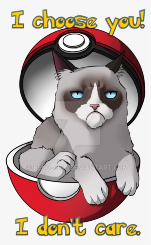 Grumpy Cat Christmas Clipart - Grumpy Cat - 894x894 PNG Download - PNGkit