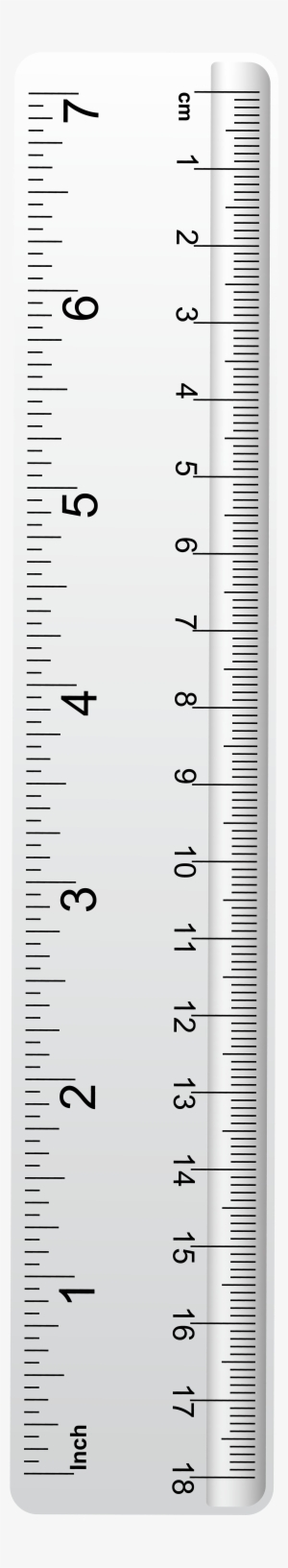 School Ruler Png Clip Art Image - Ruler Clip Art - 1642x8000 PNG ...