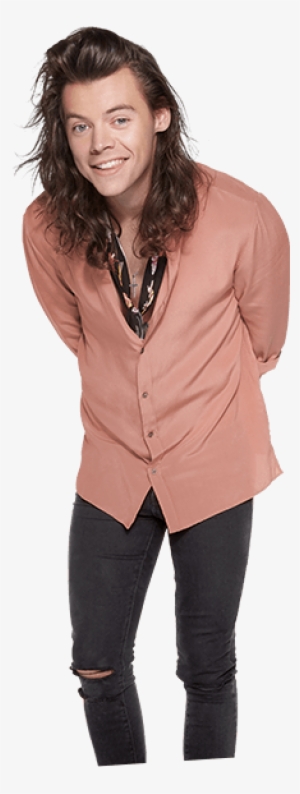 Toyota Shoot 3 - Harry Style Now Stand - 219x580 PNG Download - PNGkit