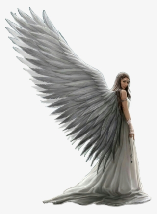 Arcangel Sinnester Beautiful Sharedstickers Enjoy - Anne Stokes Hd ...