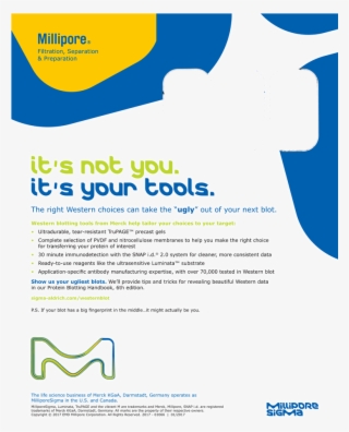 Millipore Logo Logok - Millipore Logo - 1440x1024 PNG Download - PNGkit