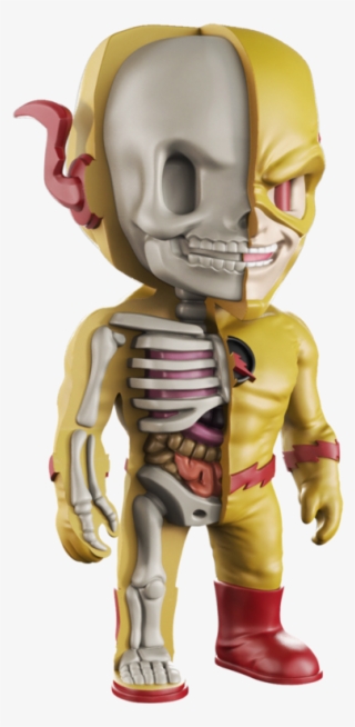 Reverse Flash PNG, Free HD Reverse Flash Transparent Image - PNGkit