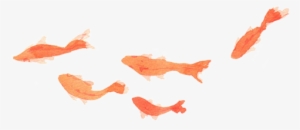 Fish Overlay - 493x245 PNG Download - PNGkit