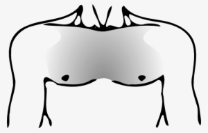 Human Chest Png - 613x391 PNG Download - PNGkit