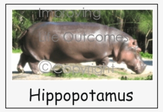 Smugmug - 750x750 PNG Download - PNGkit