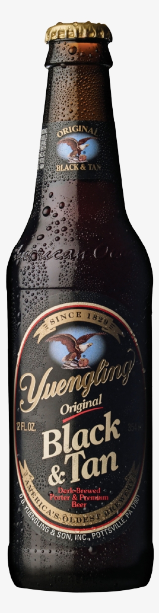 Yuengling Logo Png - 899x698 PNG Download - PNGkit