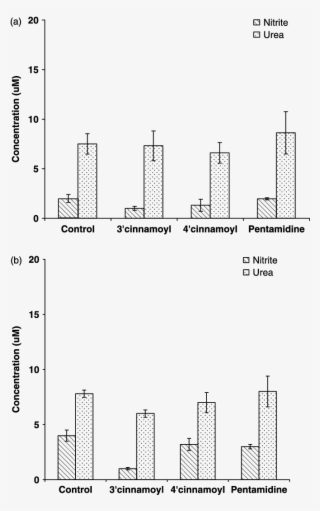 Arginase Activity From L - 666x1080 PNG Download - PNGkit