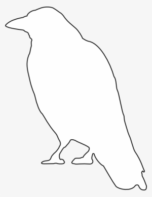 Animals Outline Silhouette Cartoon Birds Bird Crow - White Crow Vector ...