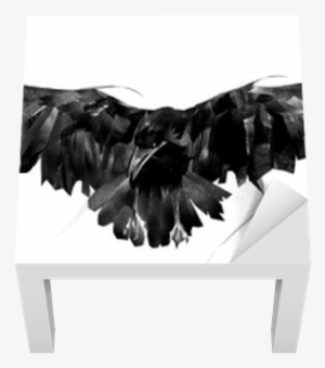 Drawn Flying Crow On White Background Front Lack Table - Vrána Kresba ...