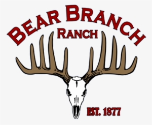 Bear Branch Logo White Outline - Bear Branch Ranch - 401x330 PNG ...