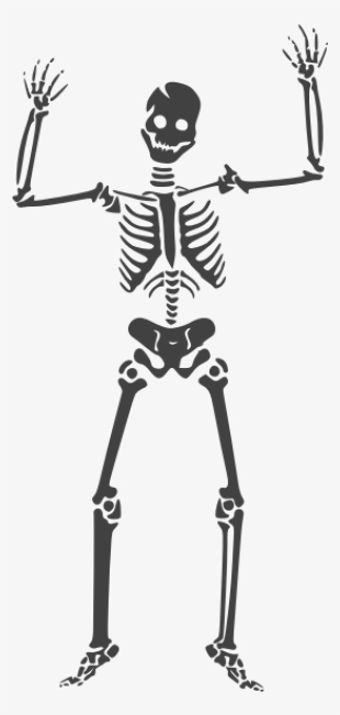 Horror Png - Skeleton Clipart - 280x591 PNG Download - PNGkit