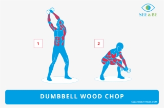The Dumbbell Wood Chop Is Another Full Body Exercise - 2766x1866 PNG ...