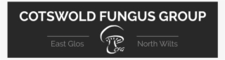 Cotswold Fungus Group - 1200x320 PNG Download - PNGkit