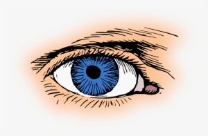 Two Blue Eyes - Eye - 960x556 PNG Download - PNGkit