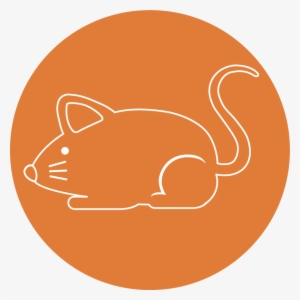 House Mouse - 800x800 PNG Download - PNGkit