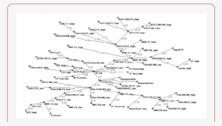 The Numbers On The Arches Of The Graph Represent The - 791x451 PNG ...