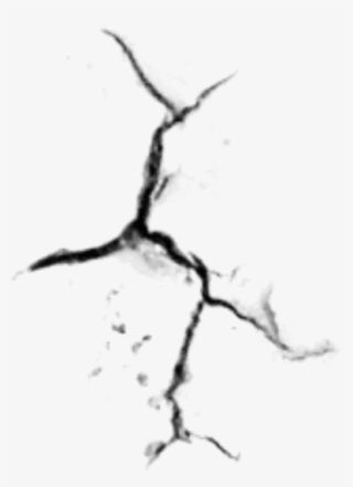 Grietas Png - 768x887 PNG Download - PNGkit
