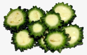 Bitter Gourd Sliced Png Image - Bitter Guard Slice - 1463x972 PNG ...
