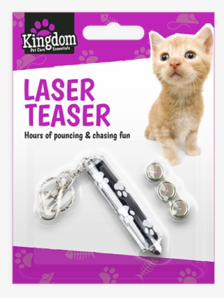 Laser Pointer Teaser Toy - 800x620 PNG Download - PNGkit