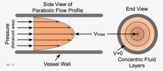 One Practical Implication Of Parabolic, Laminar Flow - 1183x518 PNG ...