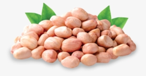 Peanuts - Groundnut Png - 495x400 PNG Download - PNGkit