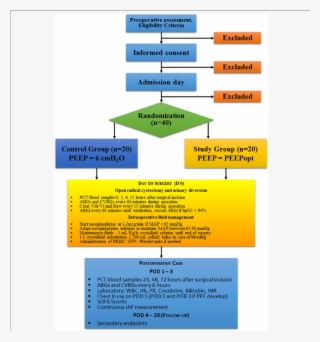 Consolidated Standards Of Reporting Trials Flowchart - 850x910 PNG ...