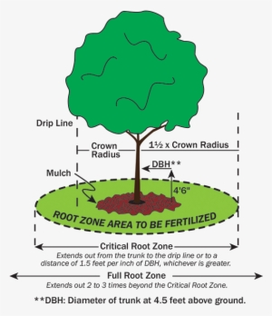 Established Tree Application Methods - Midwest Arborist Supplies ...