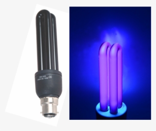 Black Light High Intensity Energy Saving Uv Lamp With - 1902x1604 PNG ...