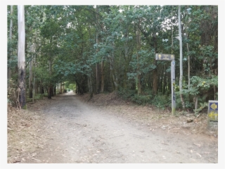 Dan And Anne Batty Enjoying The Solitude - 1000x600 PNG Download - PNGkit