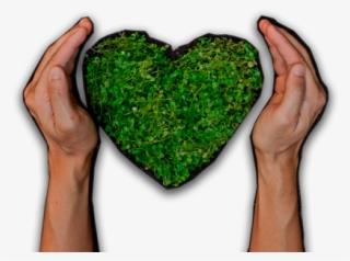 Maximum Respect For The Environment - 700x500 PNG Download - PNGkit