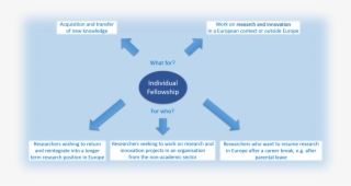 Support Is Foreseen For Individual, Trans-national - 1024x549 PNG ...