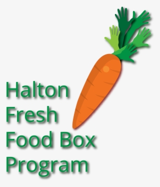 Hffb Site Icon 500 X 500 1 - 1439x1683 PNG Download - PNGkit