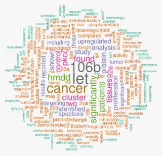 Stem Loop Sequence Hsa Mir - 1296x1252 PNG Download - PNGkit