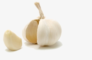 1 Small Garlic Clove - 3648x2736 PNG Download - PNGkit