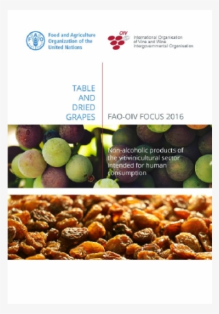 Consult The 2016 Focus - United Nations Redd Programme - 782x531 PNG ...