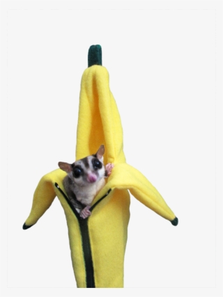 Vampire Fruit Bat - My Little Pony Vampire Fruit Bats - 1024x667 PNG ...