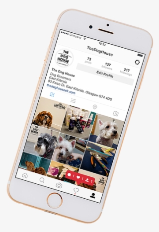 Insta - Gramdeck - Iphone - 625x1000 PNG Download - PNGkit