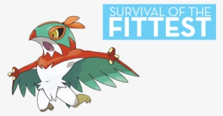 Hawlucha Evolution - 1200x675 PNG Download - PNGkit