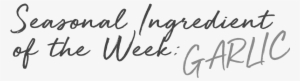 Seasonal Text Garlic - Calligraphy - 815x232 PNG Download - PNGkit